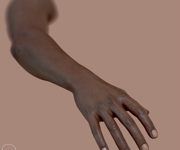 ArtStation - First Person Arms | Game Assets