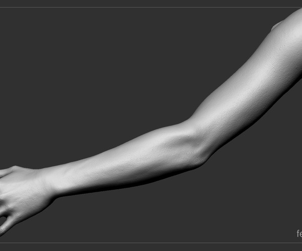 ArtStation - First Person Arms | Game Assets