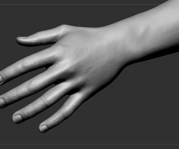 ArtStation - First Person Arms | Game Assets