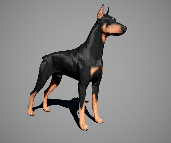 ArtStation - Doberman Game-Ready | Game Assets