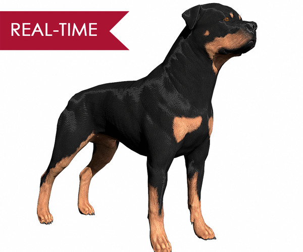 ArtStation - Rottweiler Game-Ready | Game Assets