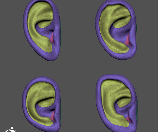 ArtStation - Ears Set | Resources