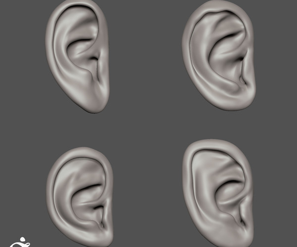ArtStation - Ears Set | Resources