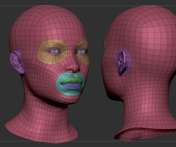 ArtStation - Average Black Female Head Basemesh | Resources