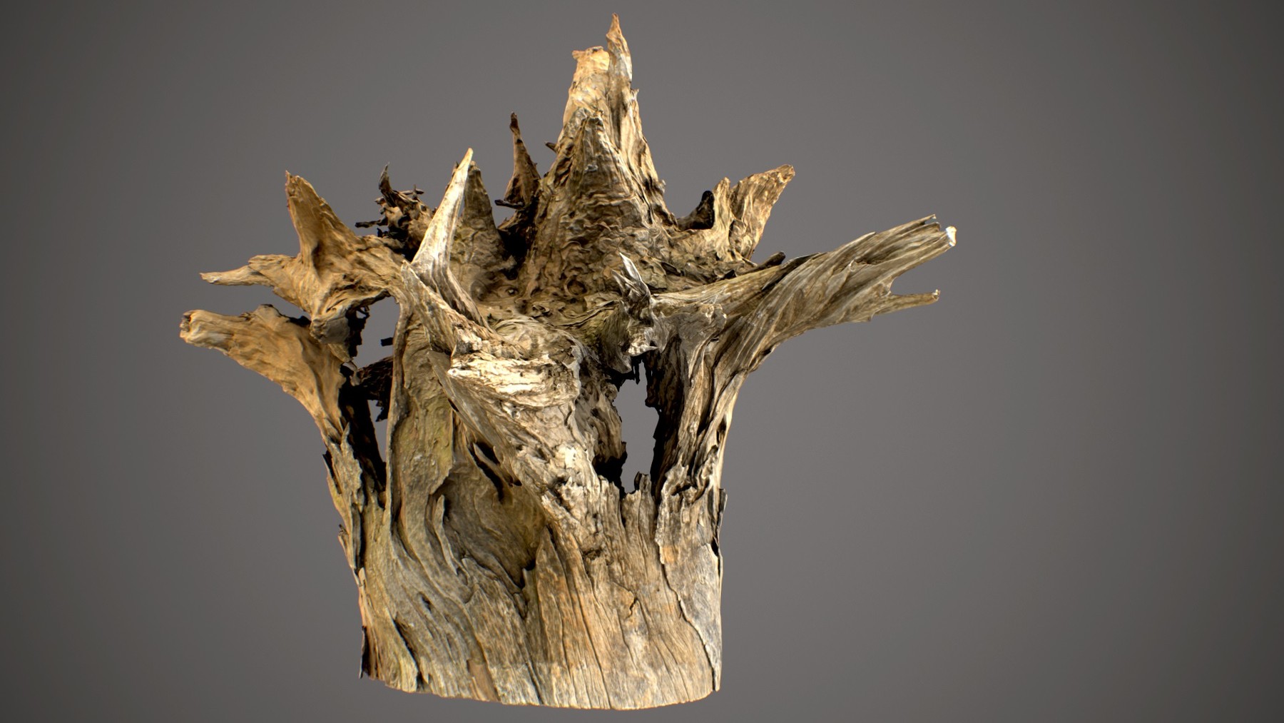 ArtStation - Tree Stump 01 | Game Assets