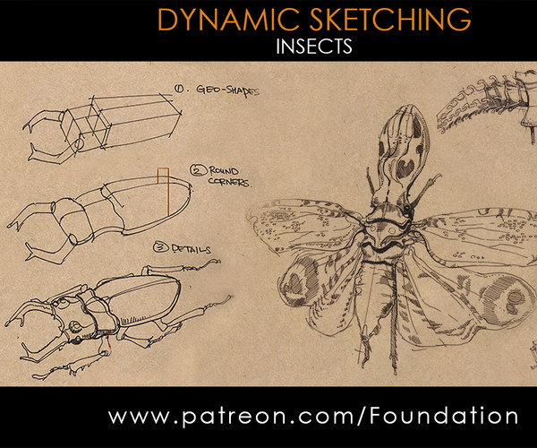 ArtStation - Foundation Art Group - Dynamic Sketching: Insects | Tutorials