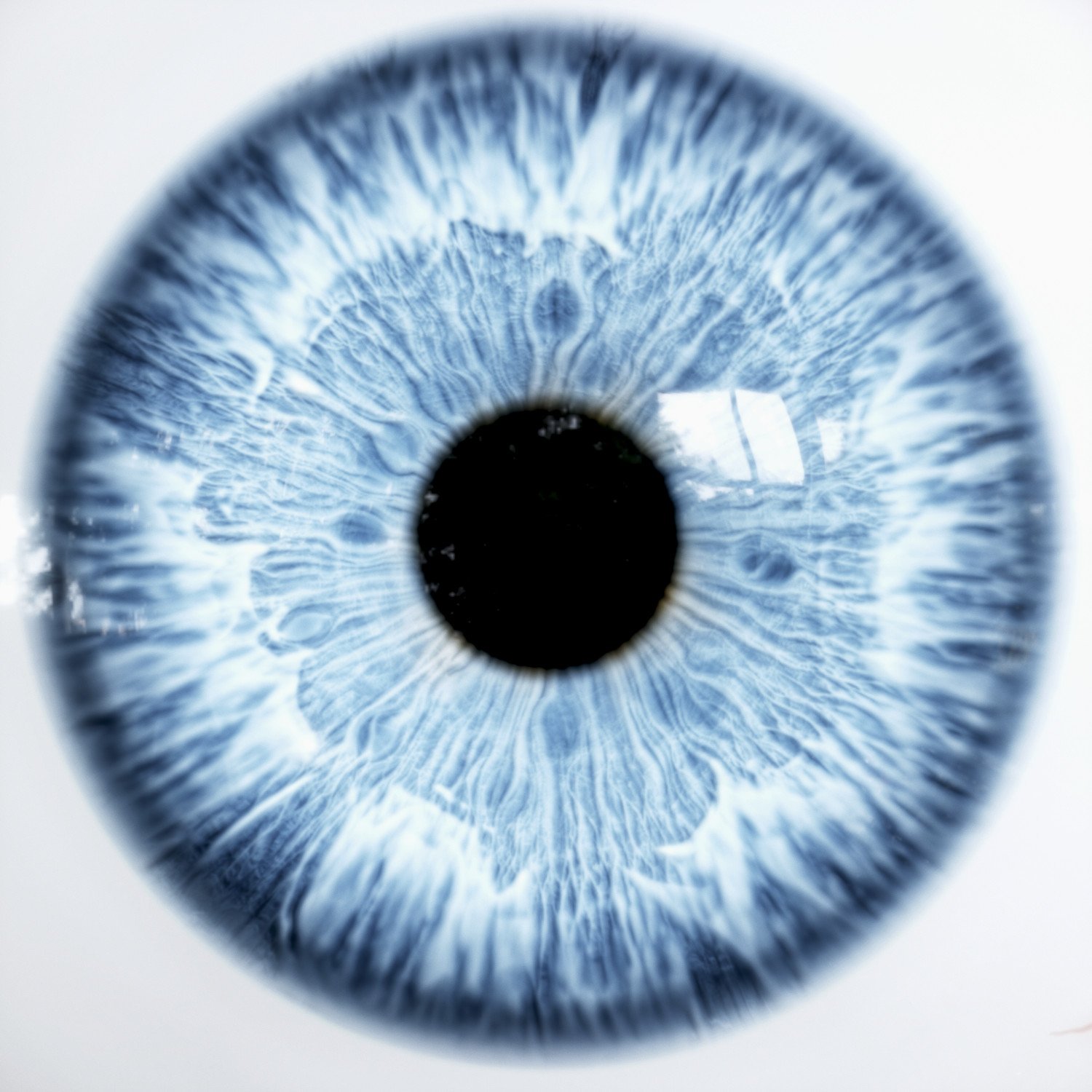 ArtStation - Ultimate Eye Generator | Resources