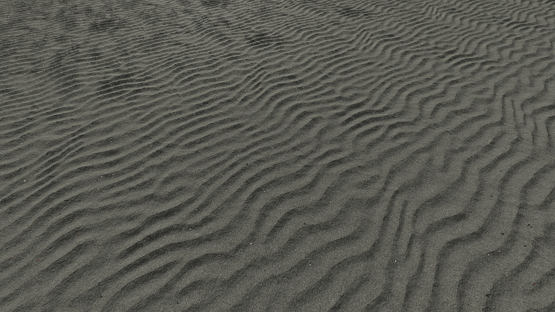 ArtStation - Sand Ripples Generator | Game Assets