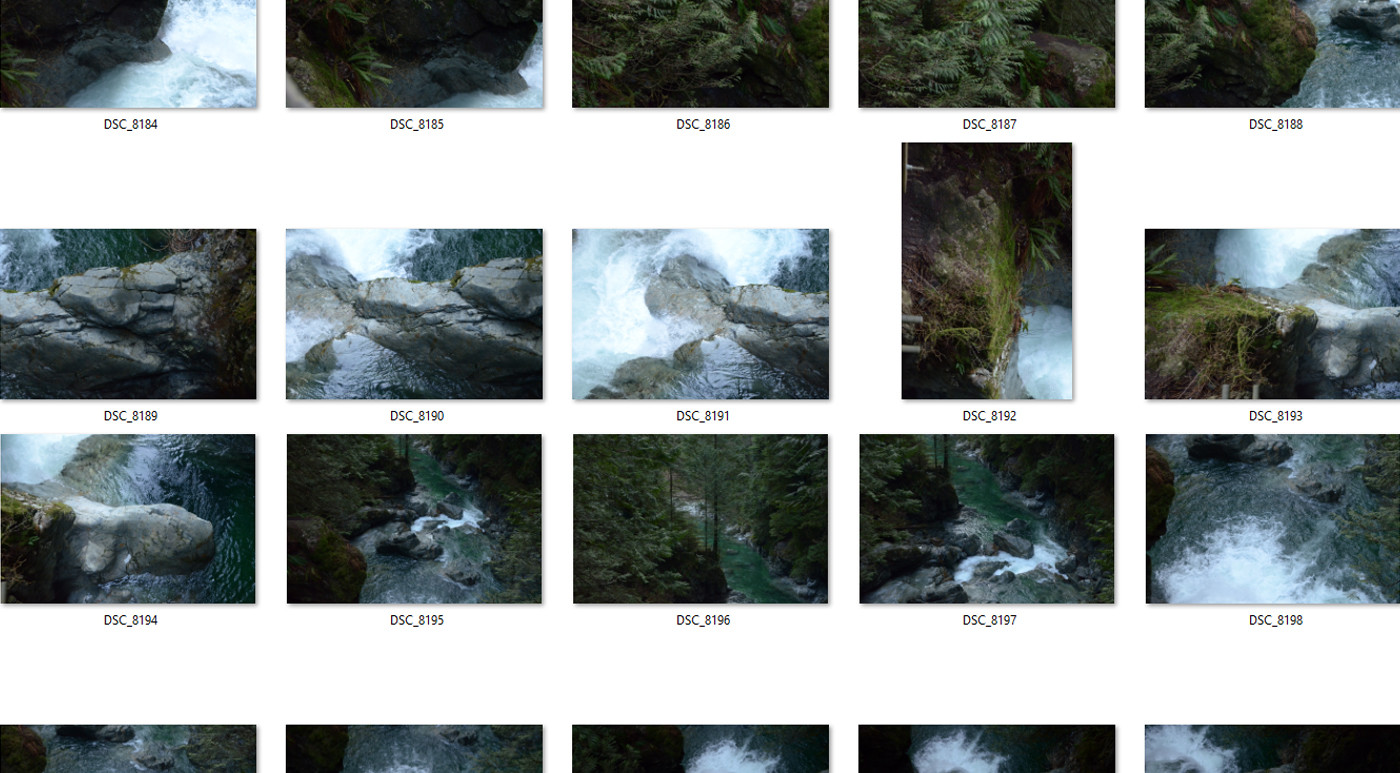 ArtStation - Forest Interior - 1300+ Photographic Reference Images ...