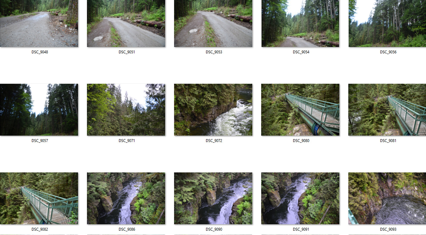 ArtStation - Forest Interior - 1300+ Photographic Reference Images ...