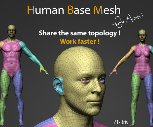 ArtStation - Human Base Mesh for artists ! | Resources