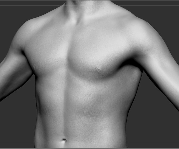 ArtStation - Average Caucasian Male Body Basemesh | Resources