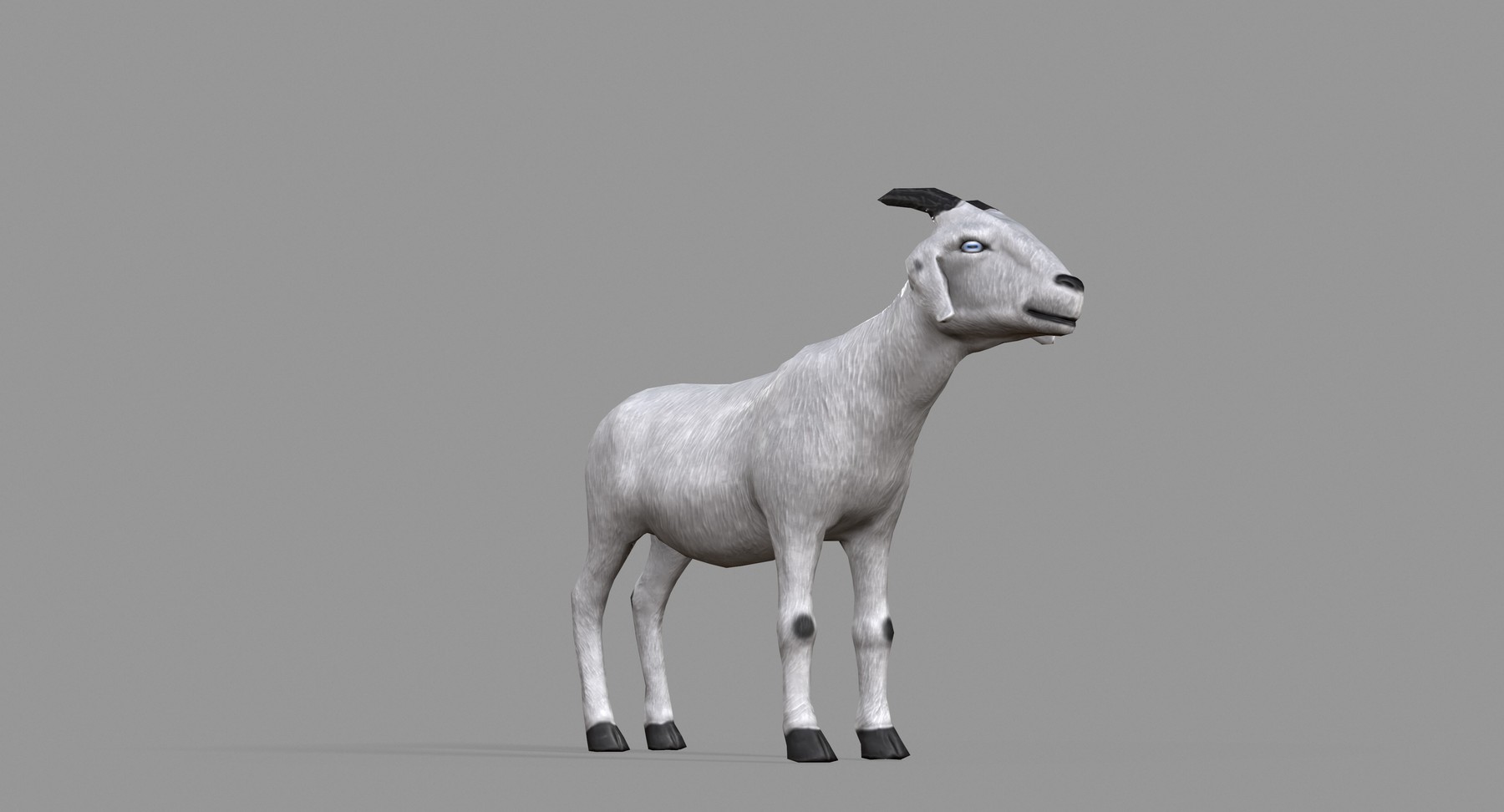 ArtStation - Goat | Game Assets