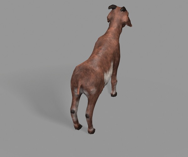 ArtStation - Goat | Game Assets