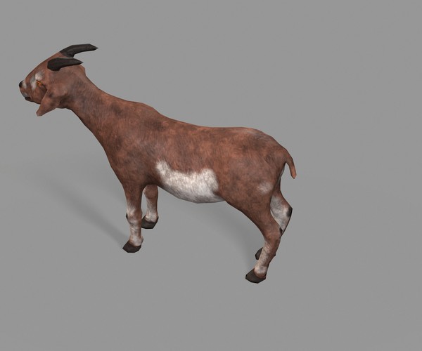 ArtStation - Goat | Game Assets