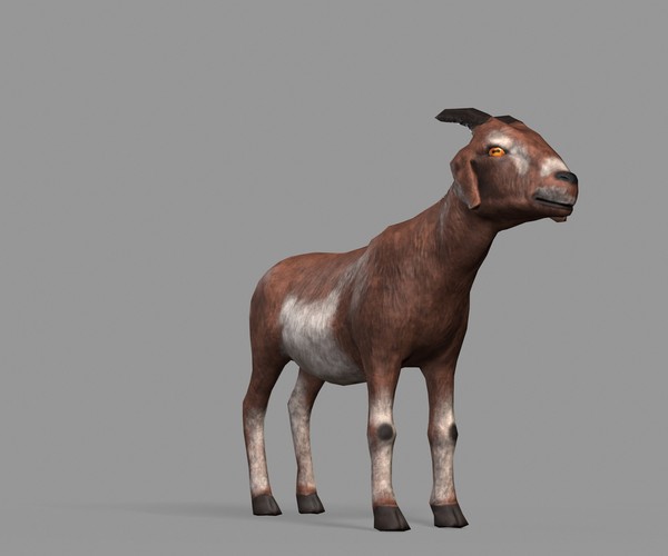ArtStation - Goat | Game Assets