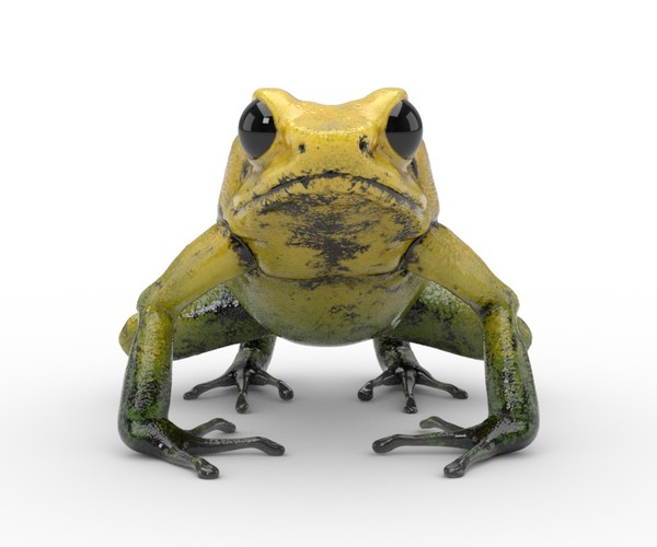 ArtStation - Golden Poison Dart Frog | Game Assets