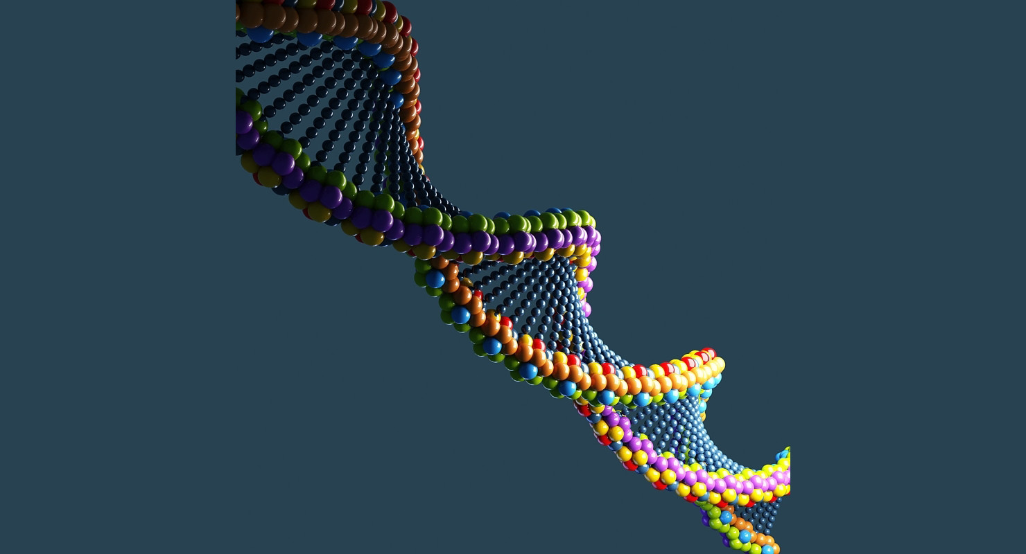 ArtStation - DNA 3D Model | Resources