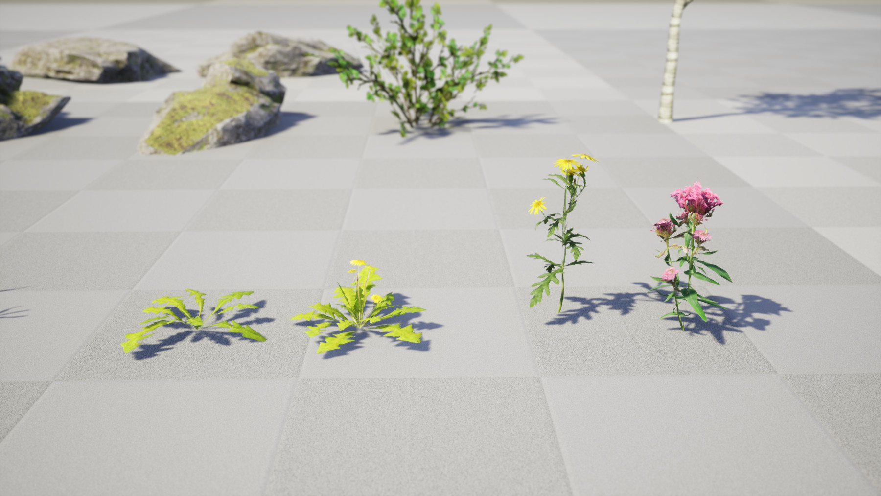 ArtStation - Realistic Foliage Pack - UE4 | Game Assets