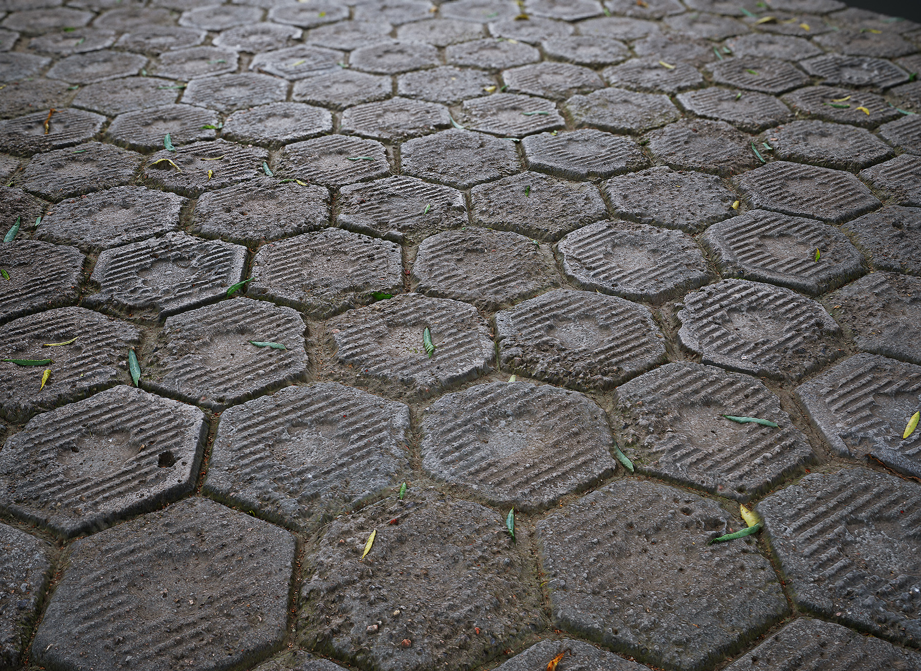 ArtStation - Park floor-photoscan | Game Assets