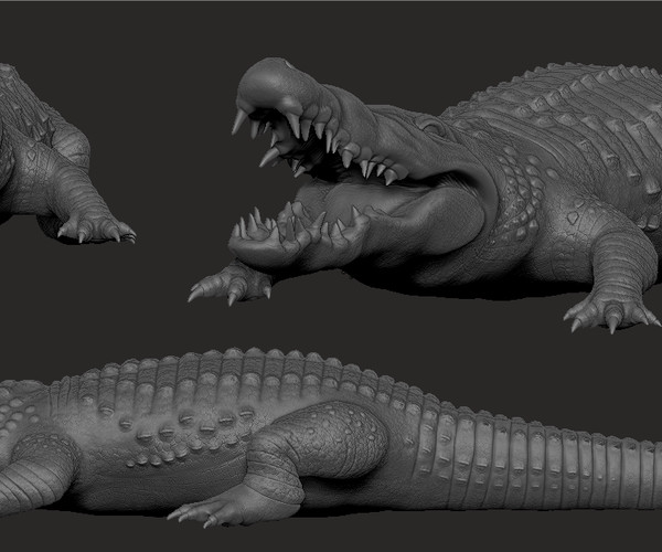 ArtStation - Crocodile (High poly sculpt and low poly game res model ...