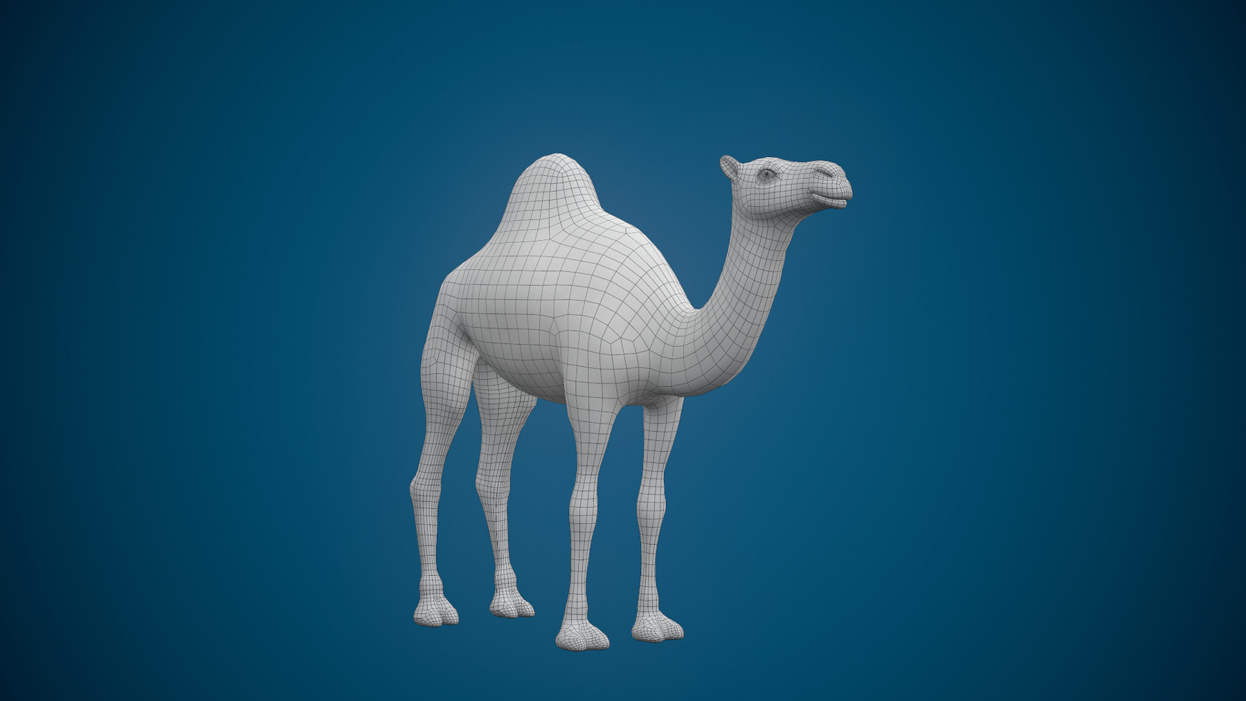 ArtStation - Camel Basemesh | Game Assets