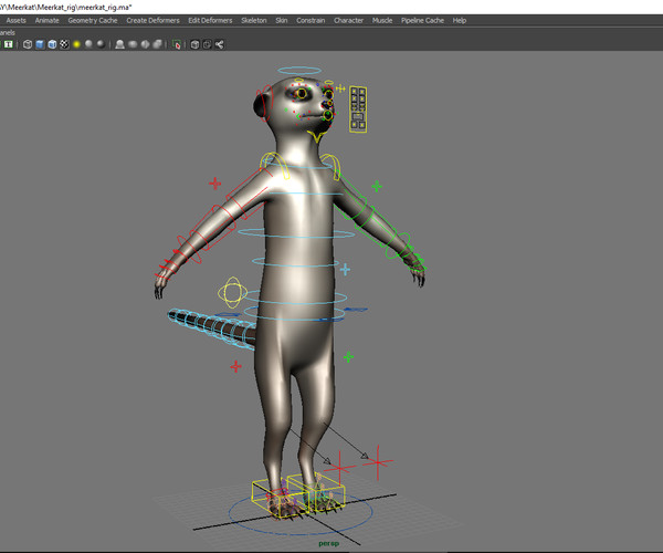 ArtStation - Meerkat Maya Rig | Resources