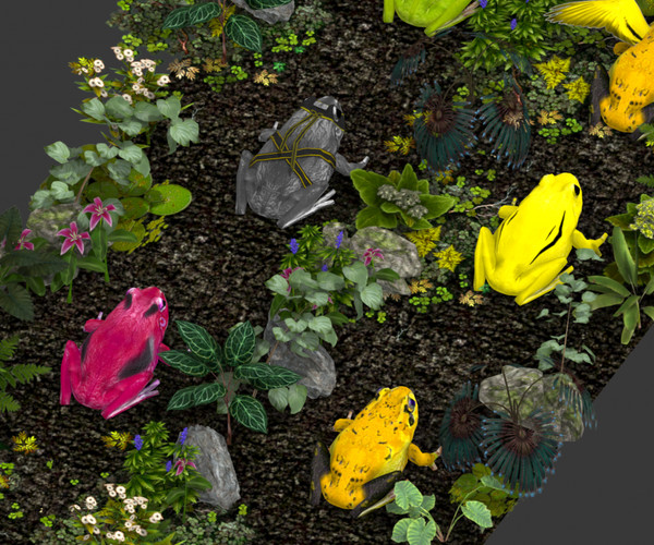 ArtStation - frog collection | Resources