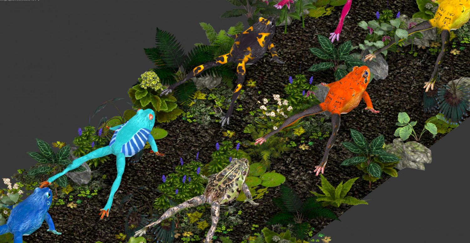 ArtStation - frog collection | Resources