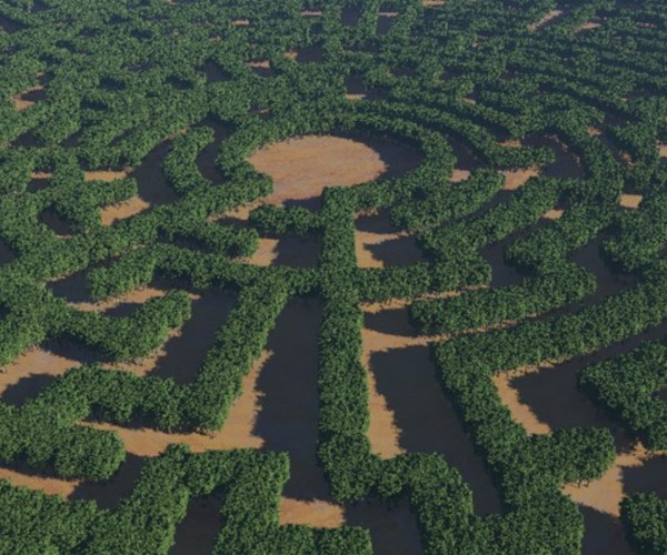 ArtStation - Create a Forest Maze in Terragen | Tutorials