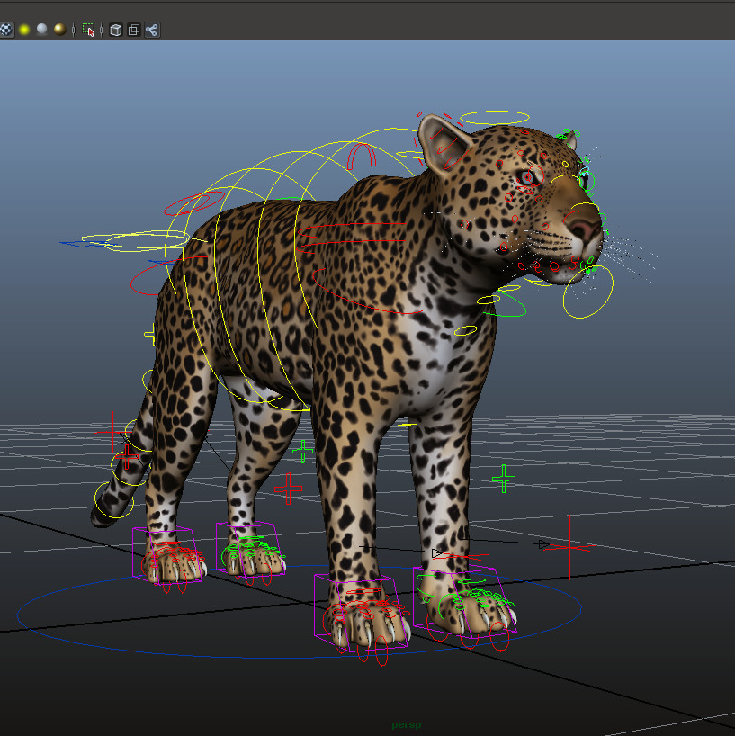 ArtStation - Leopard Maya Rig | Resources