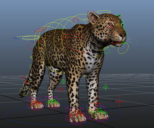 ArtStation - Leopard Maya Rig | Resources