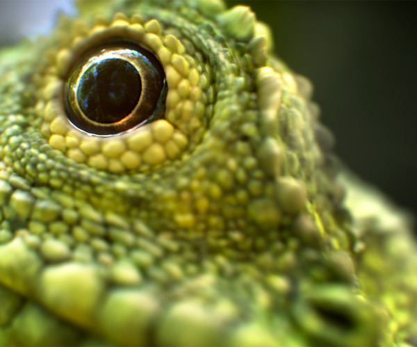 ArtStation - Zbrush - Lizard scales PACK + tutorial | Tutorials