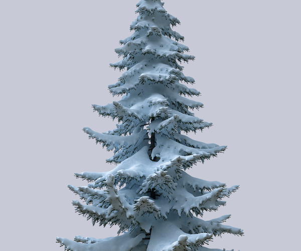ArtStation - Snow-Covered Trees | Game Assets