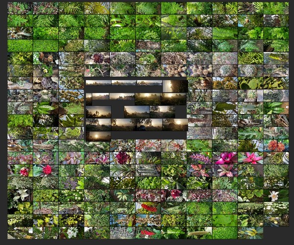 ArtStation - Nature Reference | Resources