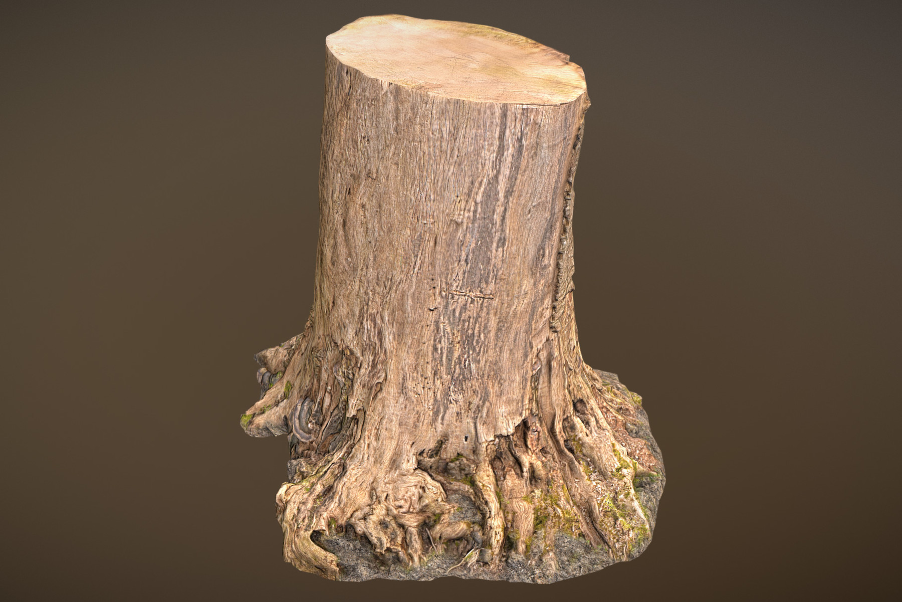 ArtStation - Stump | Game Assets