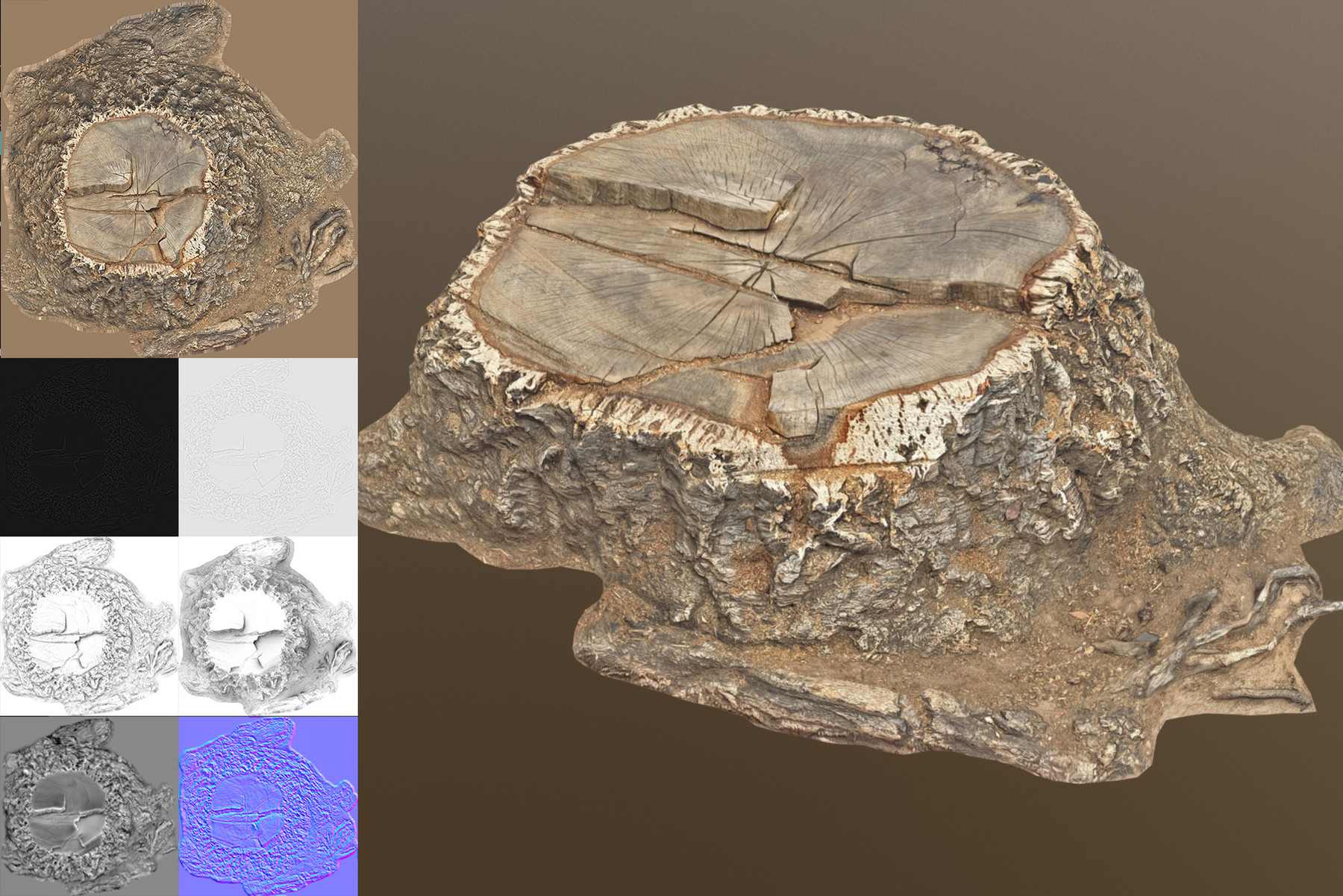 ArtStation - Stump | Game Assets