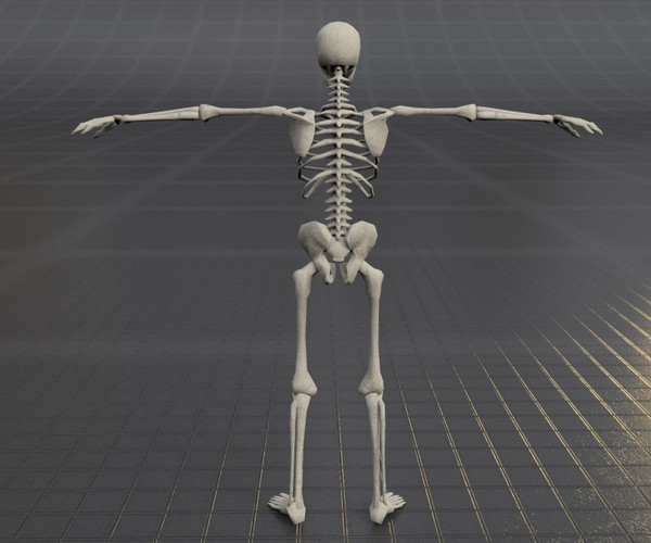 ArtStation - Skeleton Poses Pack - Low-poly 3D model | Game Assets