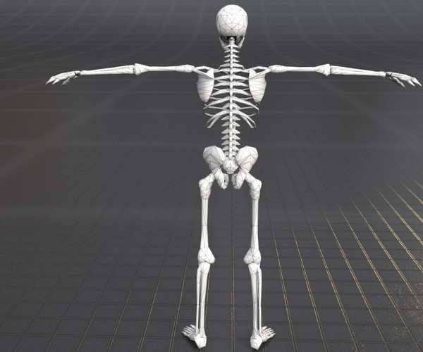 ArtStation - Skeleton Poses Pack - Low-poly 3D model | Game Assets
