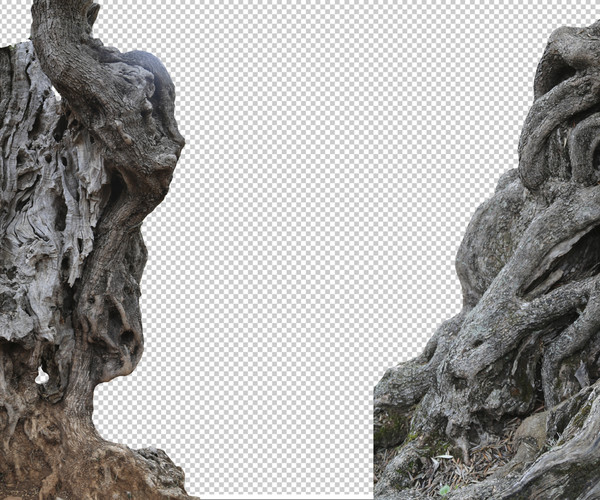 ArtStation - Reference Pack - Knotty Tree Trunk | Resources