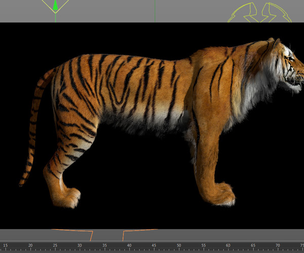 ArtStation - HOW TO MAKE A 3D TIGER | Tutorials