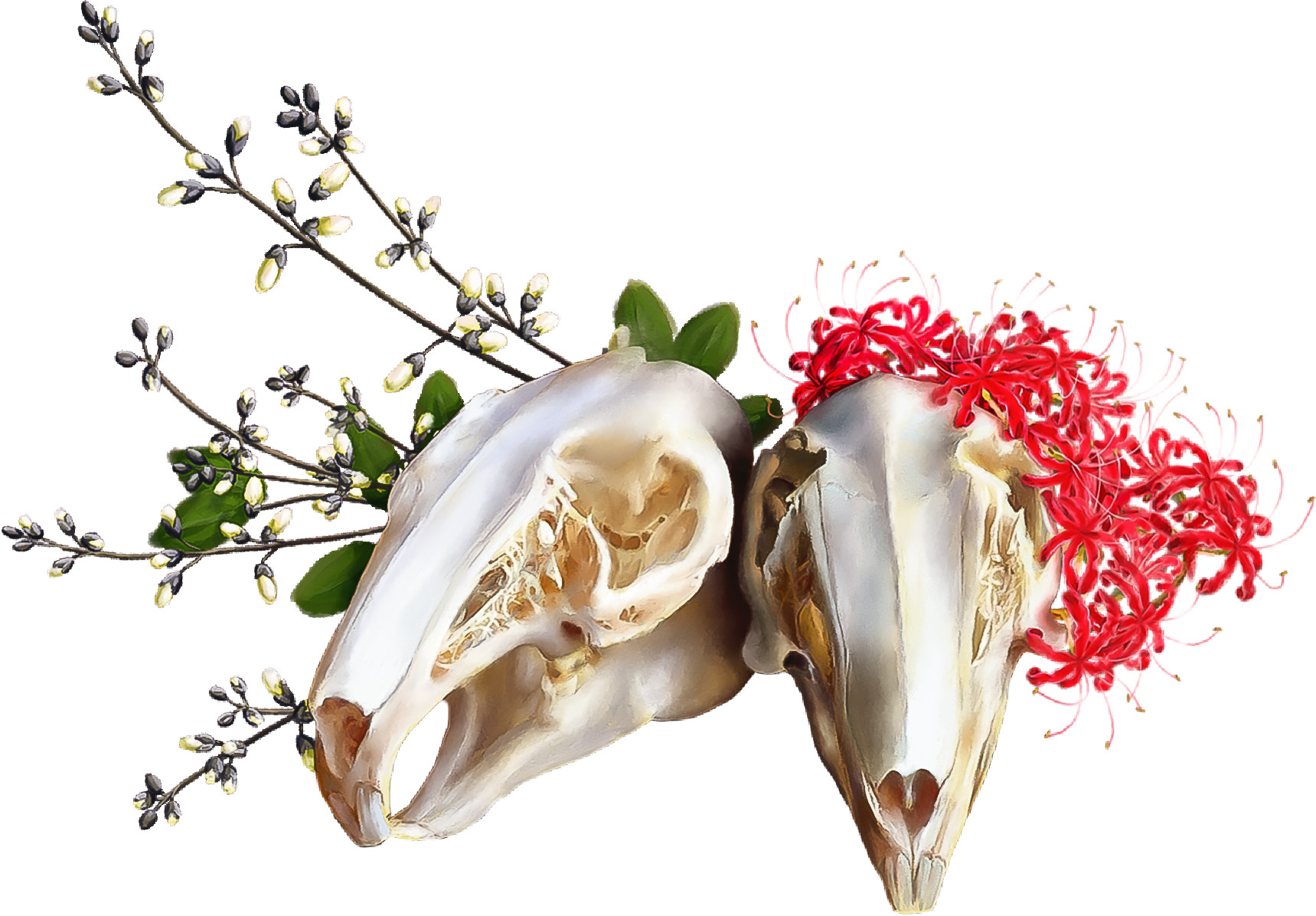 ArtStation - Rabbit Skulls and Flowers | Artworks