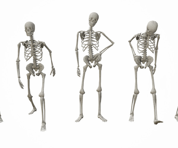 ArtStation - Skeleton Standing Poses - Low-poly 3D model | Resources