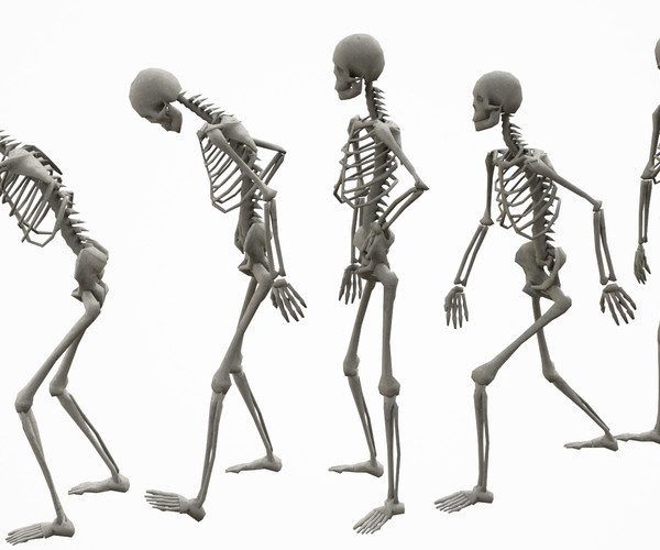 ArtStation - Skeleton Standing Poses - Low-poly 3D model | Resources
