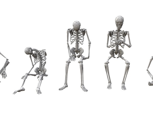 ArtStation - Skeleton Sitting Poses - Low-poly 3D model | Resources