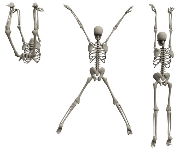 ArtStation - Skeleton Hanging Poses - Low-poly 3D model | Resources
