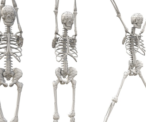 ArtStation - Skeleton Hanging Poses - Low-poly 3D model | Resources