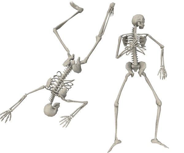 ArtStation - Skeleton Laying Poses - Low-poly 3D model | Resources