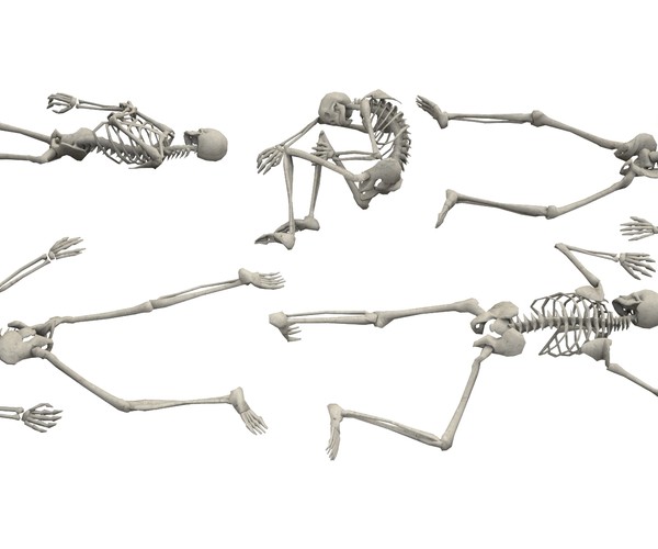 ArtStation - Skeleton Laying Poses - Low-poly 3D model | Resources