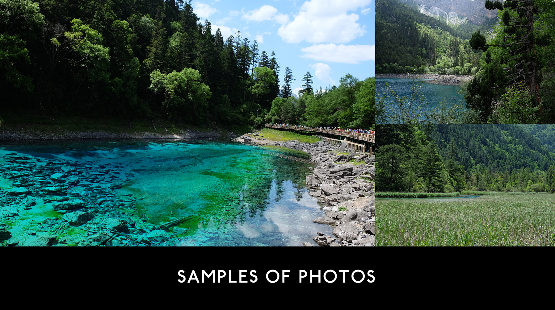 ArtStation - REFERENCE PACK - CHINA NATURE | Resources